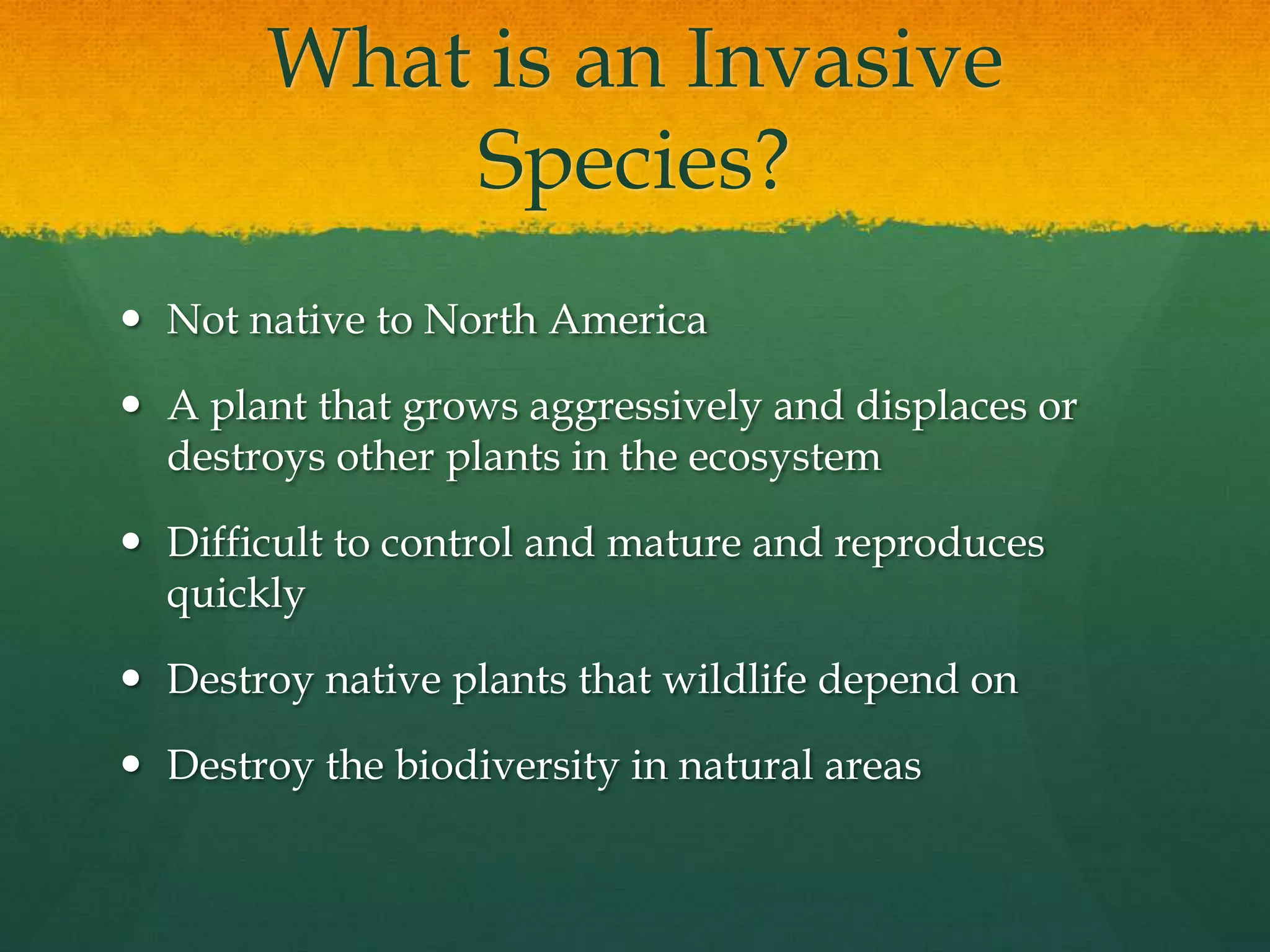 Invasive Species | PPTX