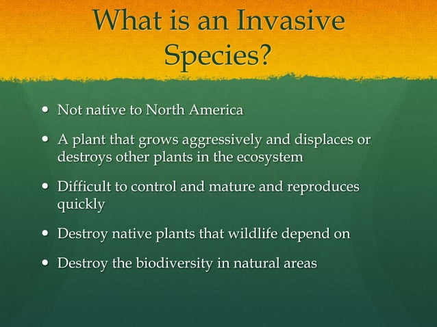 Invasive Species | PPT