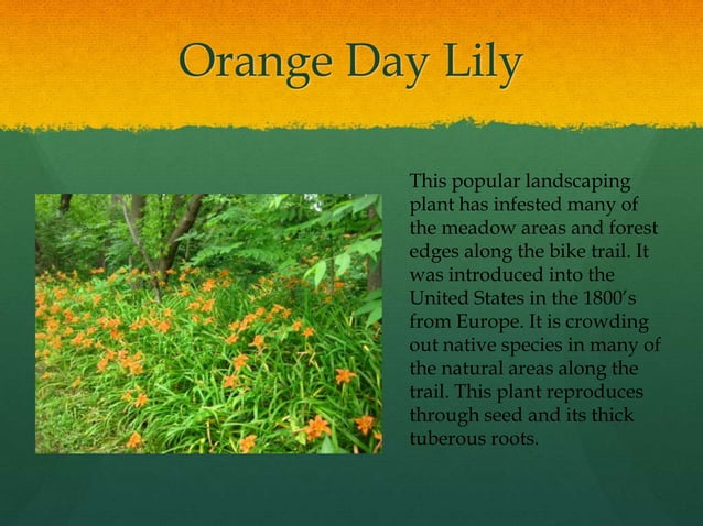 Invasive Species | PPT