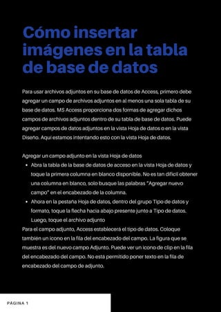 Microsoft Access (Insertar imágenes en tablas y crear un formulario en ...