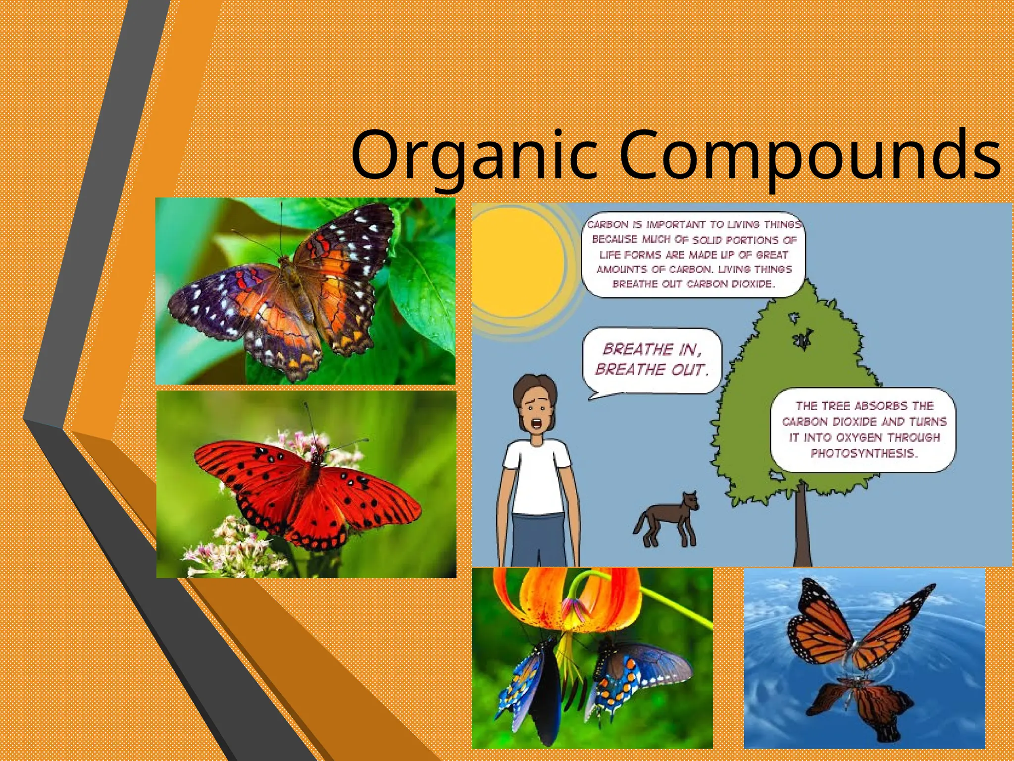 GRADE9_QUART2WEEK4_ORGANIC-COMPOUNDS.ppt