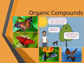GRADE9_QUART2WEEK4_ORGANIC-COMPOUNDS.ppt