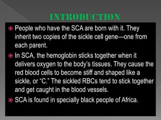 Sickle Cell Anemia | PPTX