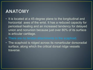 ScaPHOID # | PPT