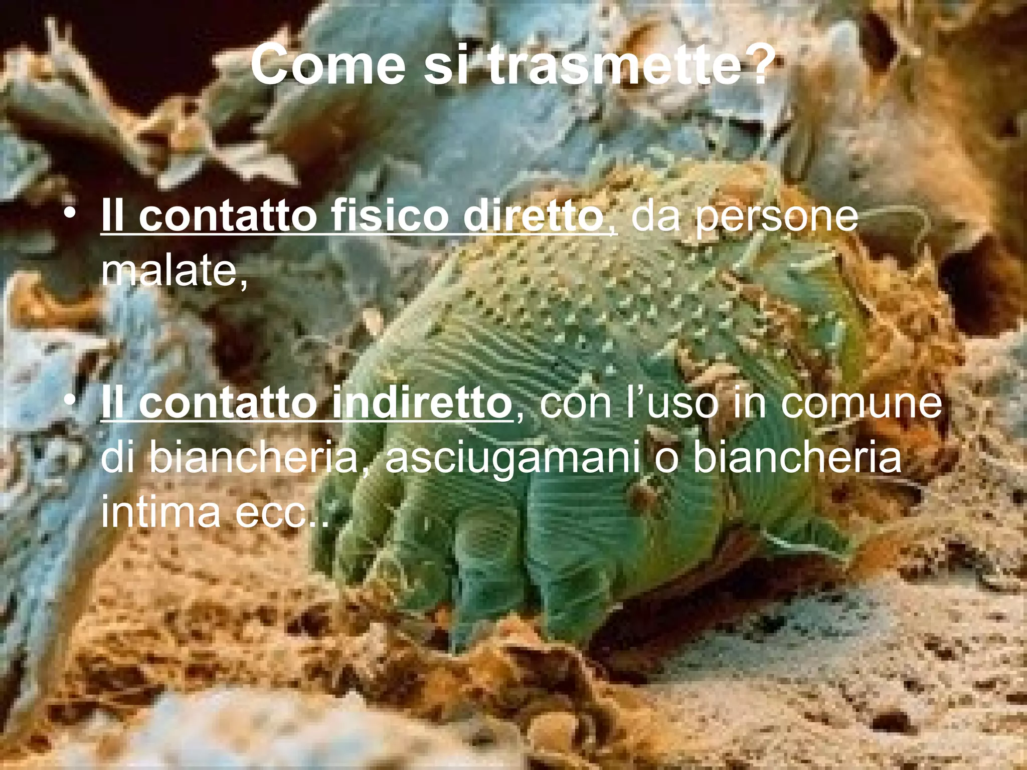 Scabbia e hpv valeria fontanella | PPT