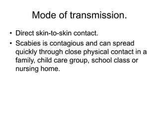 Scabies | PPTX