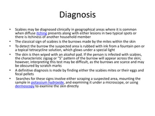 Scabies | PPTX