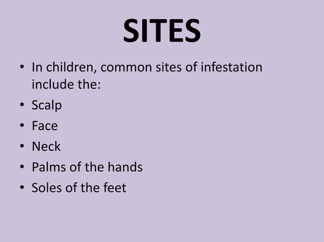 Scabies | PPTX | Allergies | Diseases and Conditions