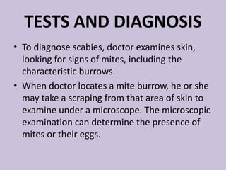 Scabies | PPTX
