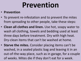 Scabies Prevention