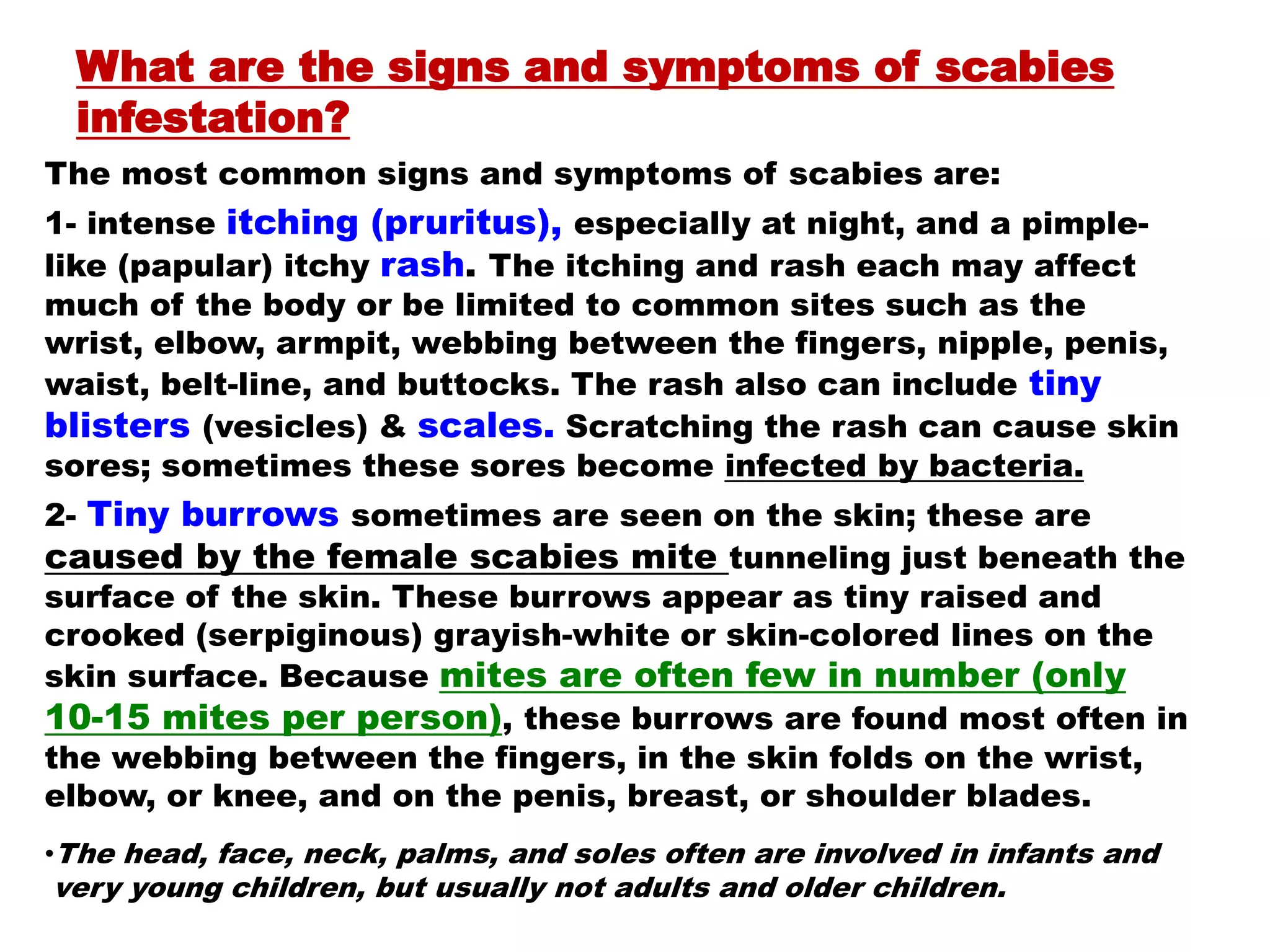 Scabies | PPTX