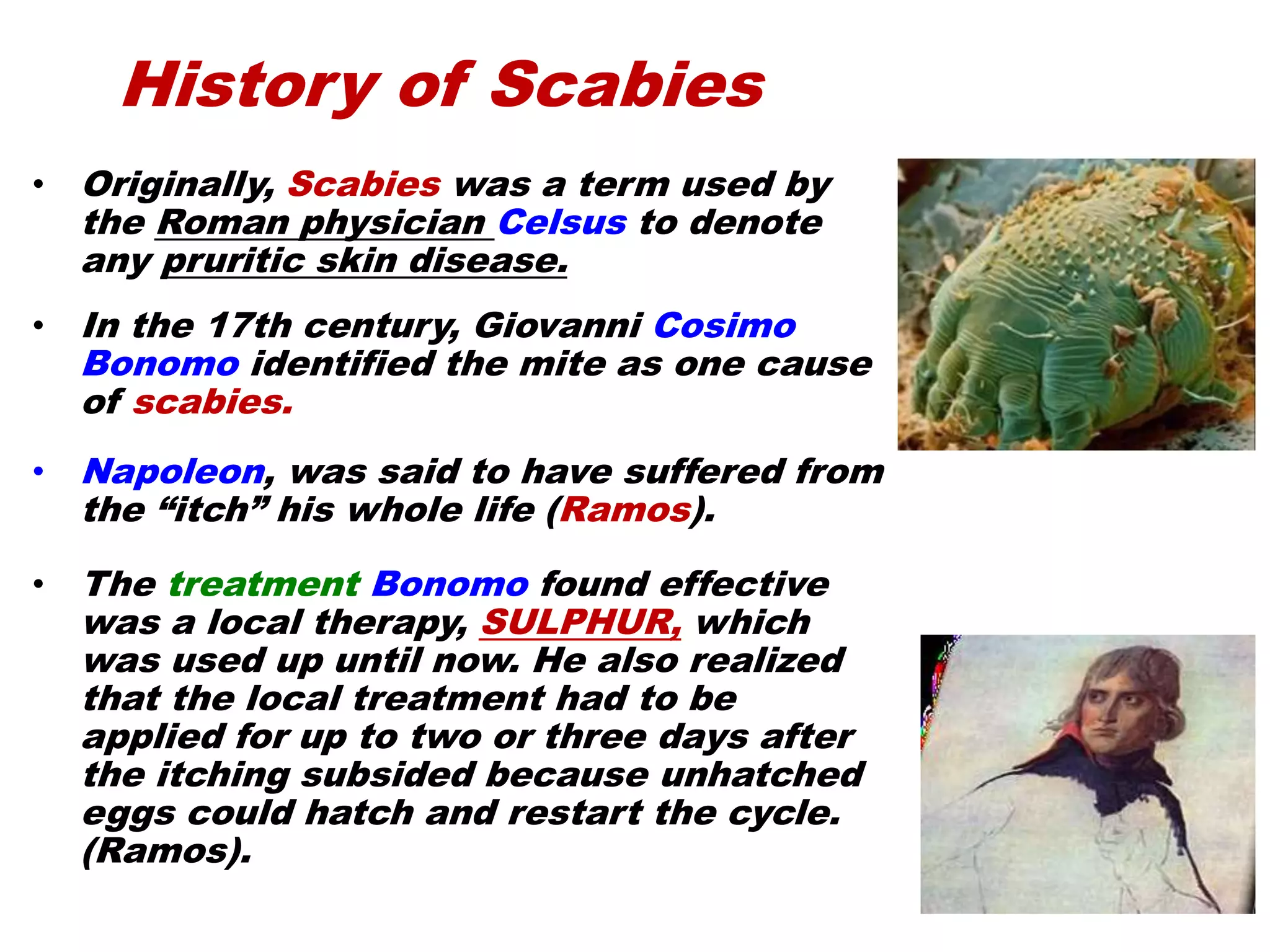 Scabies | PPTX | Skin and Dermatology | Diseases and Conditions
