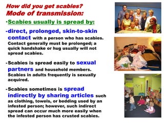 Scabies | PPTX