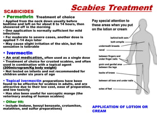 Scabies | PPTX