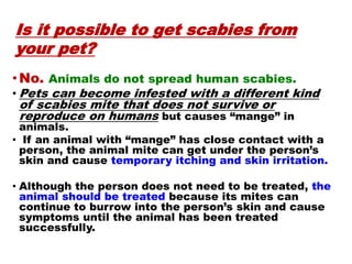 Scabies | PPTX