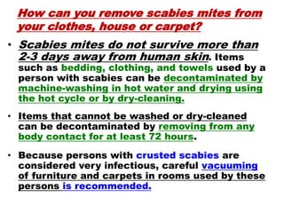 Scabies | PPTX