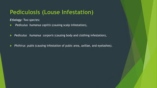 Scabies and pediculosis | PPTX