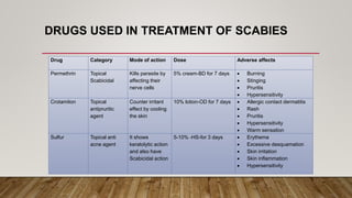 Scabies | PPTX
