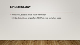 Scabies | PPTX