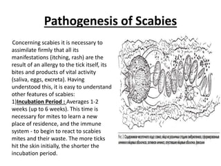 SCABIES | PPT