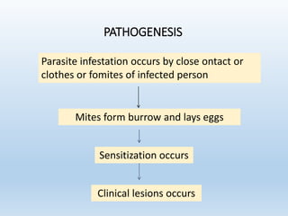 Scabies for MBBS students | PPTX
