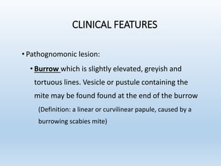 Scabies for MBBS students | PPTX