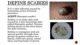scabies.pptx