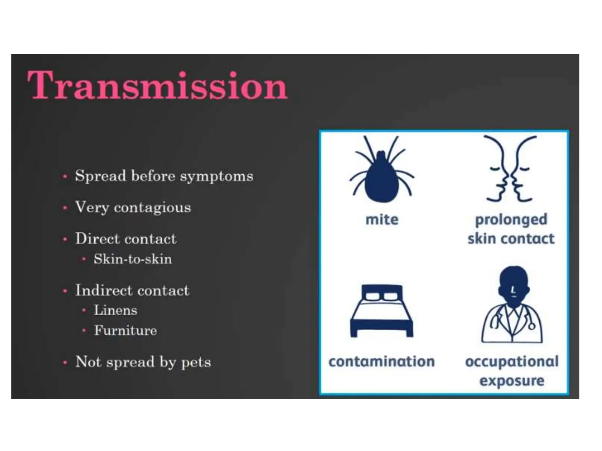 Clinical Pharmacotherapy of Scabies Disease | PPTX