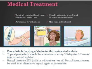 Clinical Pharmacotherapy of Scabies Disease | PPTX