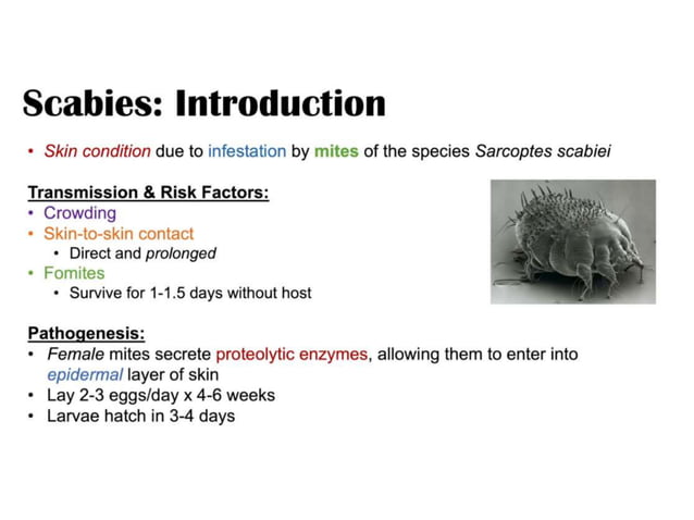 Clinical Pharmacotherapy of Scabies Disease | PPTX