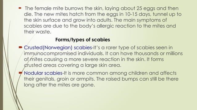 SCABIES as skin disease in adults and children | PPTX