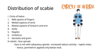 scabies essay summarized Dermatology.pptx