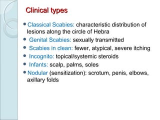Scabies girlly - 07.03.16