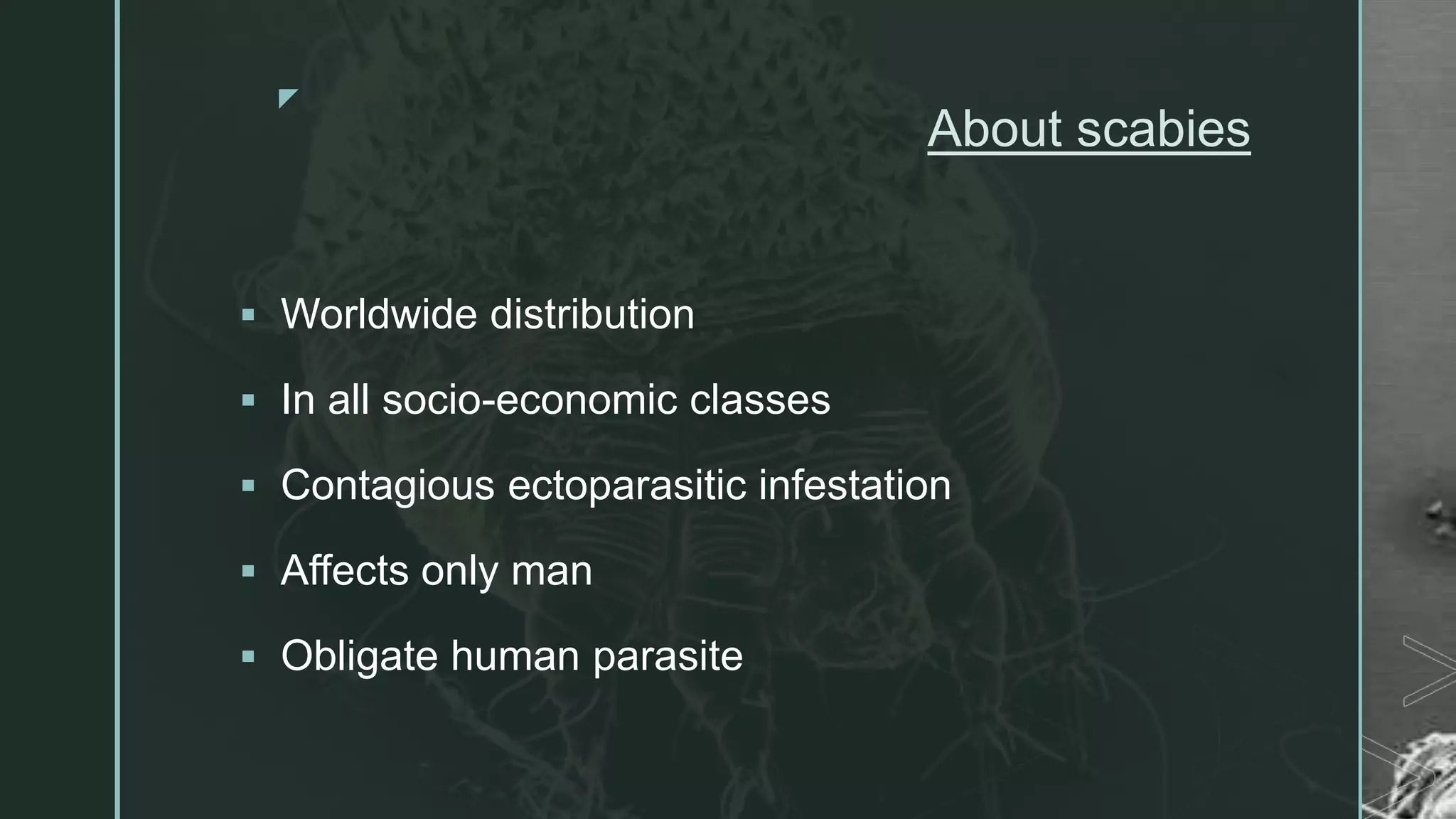Scabies | PPTX