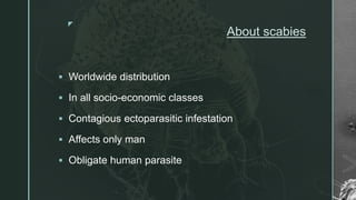 Scabies | PPTX