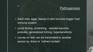 Scabies | PPTX