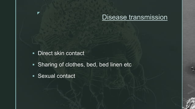 Scabies | PPTX