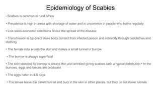 Scabies and fungal infection | PPTX