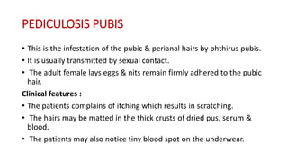 Scabies and pediculosis | PPTX