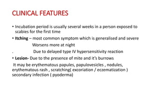 Scabies and pediculosis | PPTX
