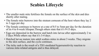 SCABIES BY DR MALZ.pptx