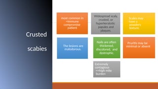 scabies by master doctor fadhly shariman.pptx