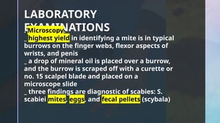 Scabies [Derma] smol.pptxbees bees bees bees | PPT