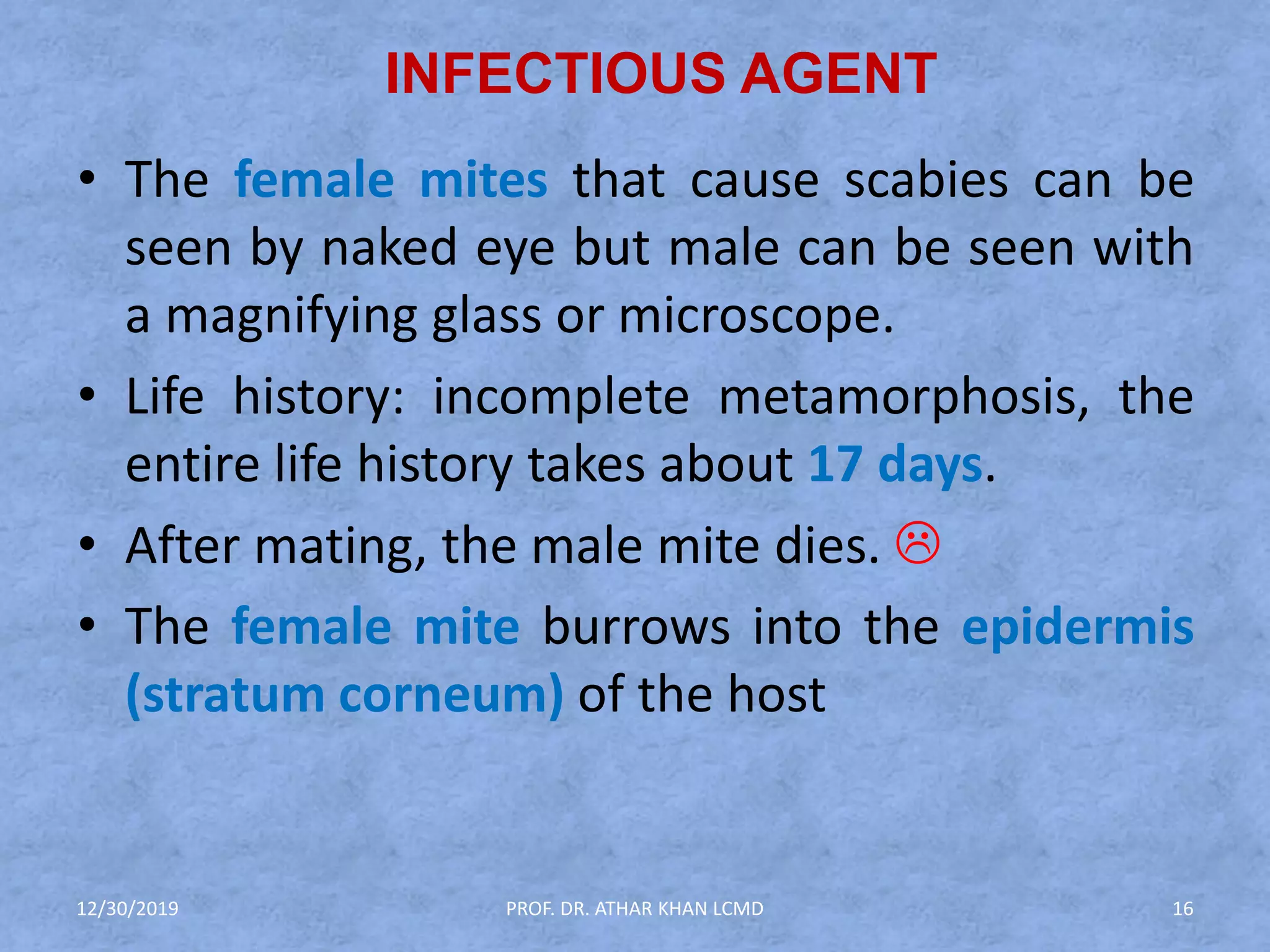 Scabies Ppt