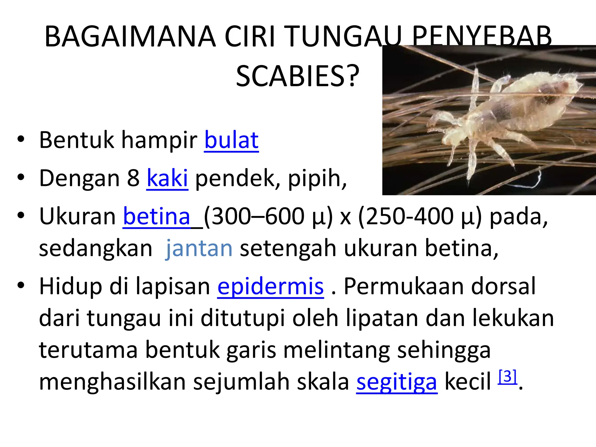 POWERPOINT TENTANG SCABIES (KUDIS/GUDIK).pptx