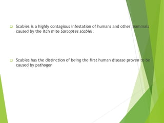 Scabies lecture.pptx