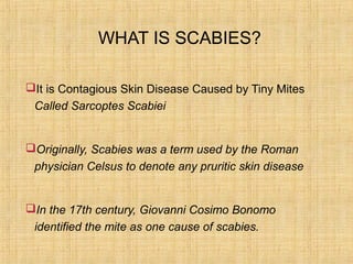 Scabies Life cycle, Diagnosis & Treatment | PPT