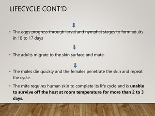 scabies notes_ppt.pptx