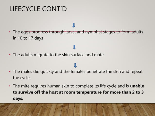 scabies notes_ppt.pptx