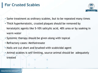 basics of diagnosis and treatment of scabies and pediculosis | PPTX